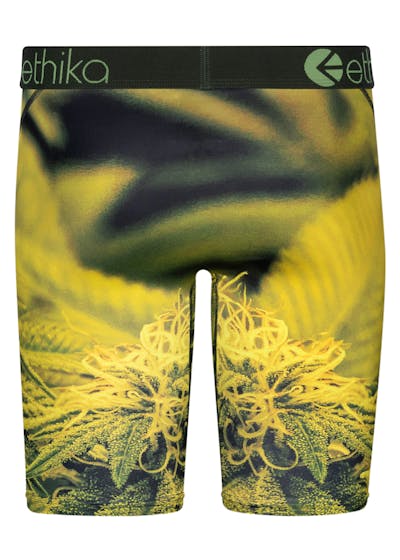 Men ETHIKA Green Haze Boxer – Urban Appeal Fort Pierce